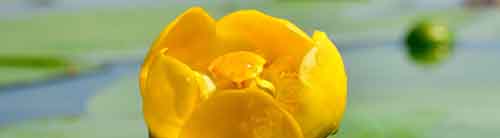 Crystal Herbs | Instagram Links