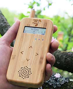 The Music of the Plants | Bamboo & U1 Device | U.K.