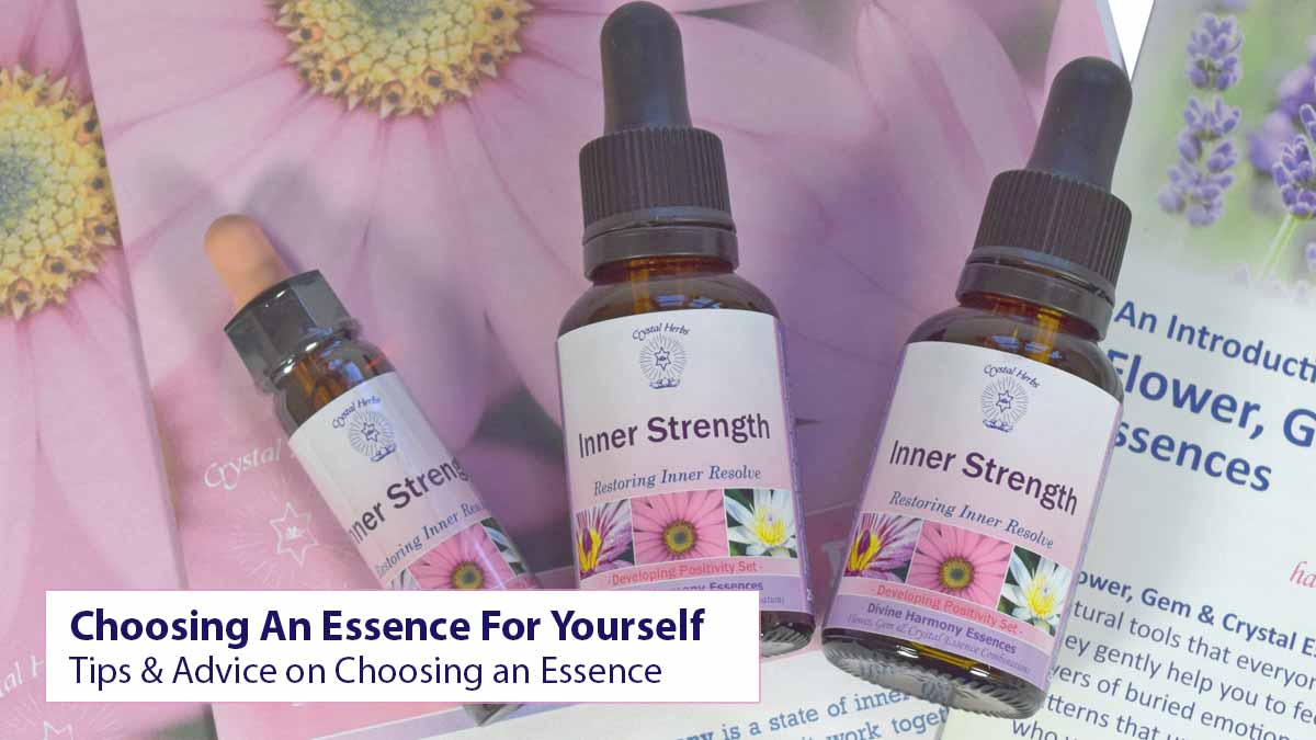 How to Choose the Right Flower Essences for Yourself