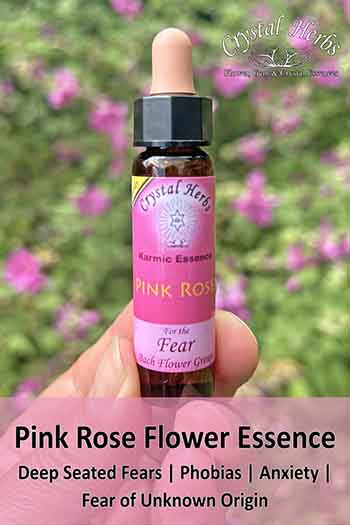 Flower Essences for the Inner Journey | Crystal Herbs