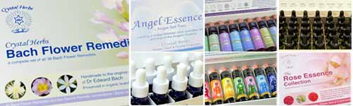 Bach Flower Remedies & Flower Essences | Crystal Herbs
