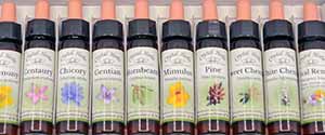 Bach Flower Remedies & Flower Essences | Crystal Herbs